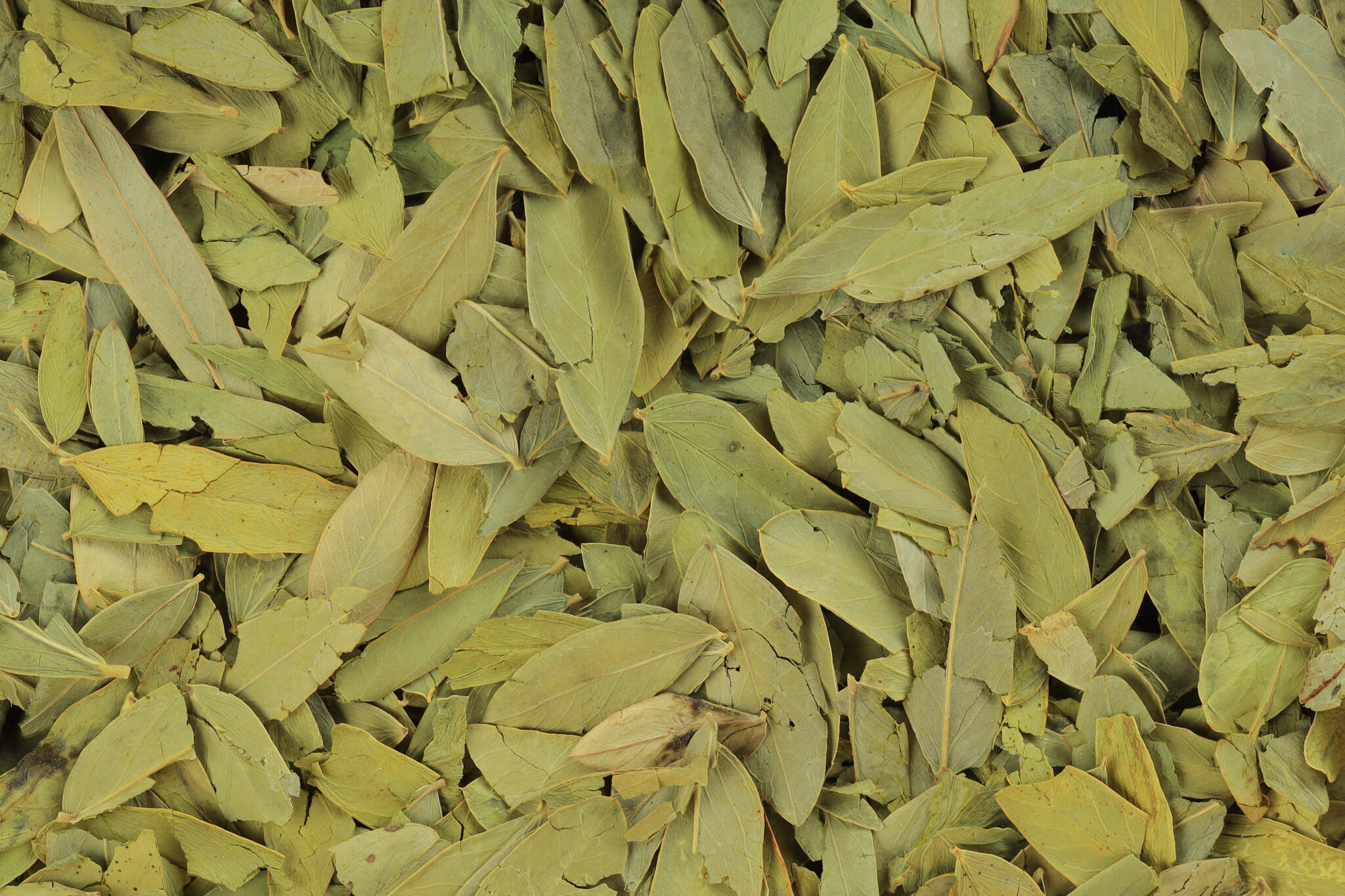 All Export Products – Simosis International