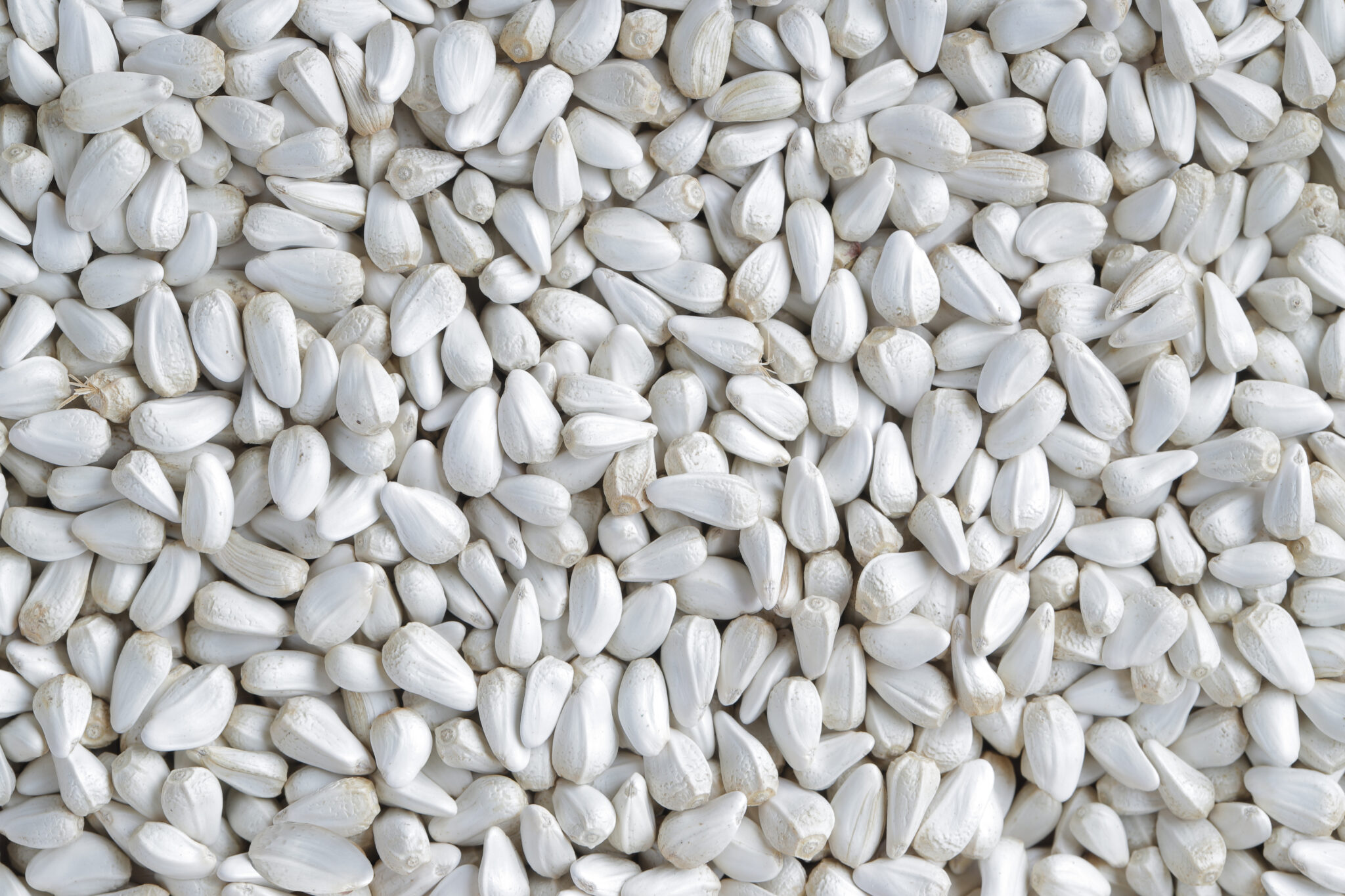 Export – Simosis International