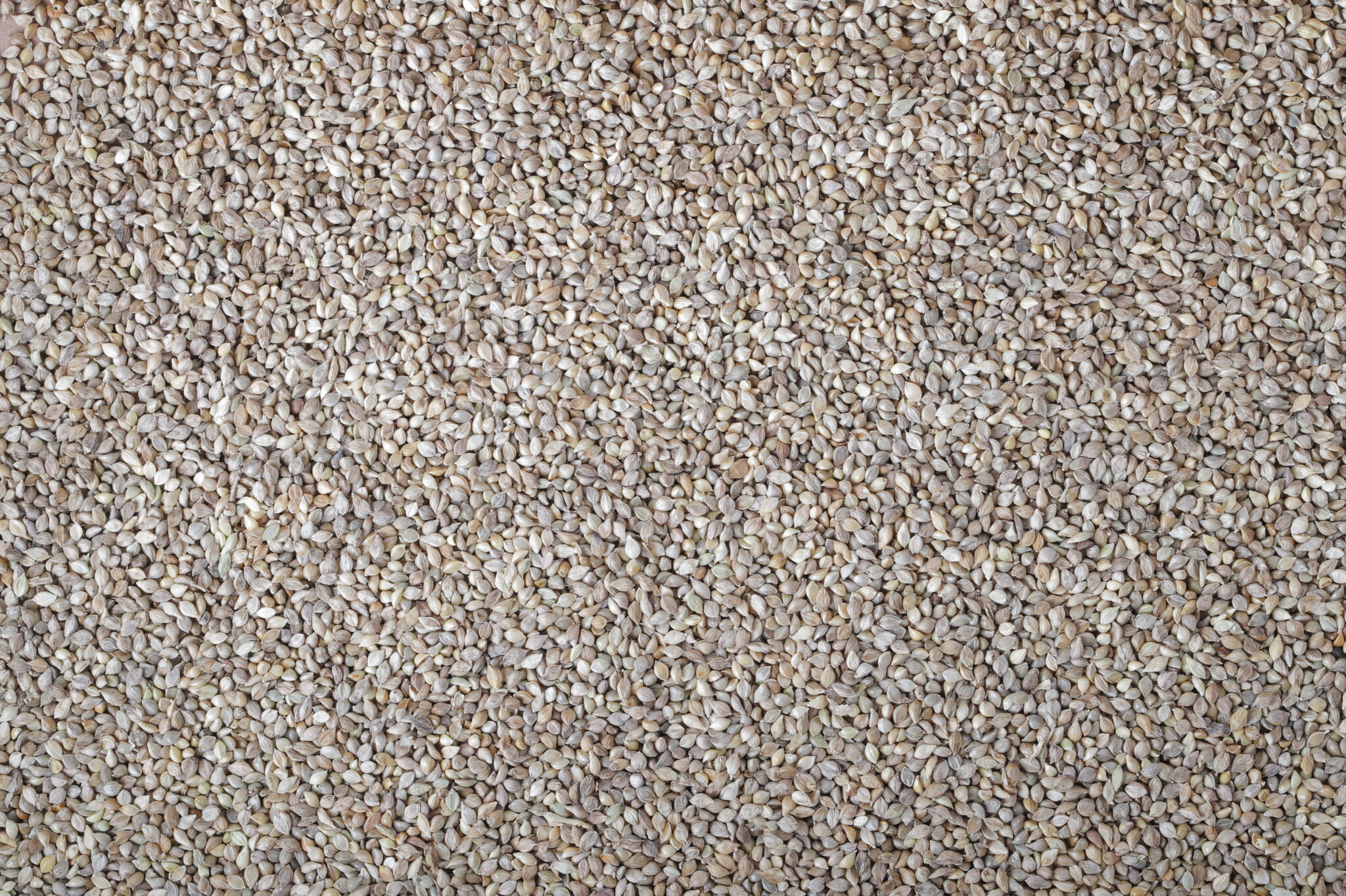 Products – Simosis International
